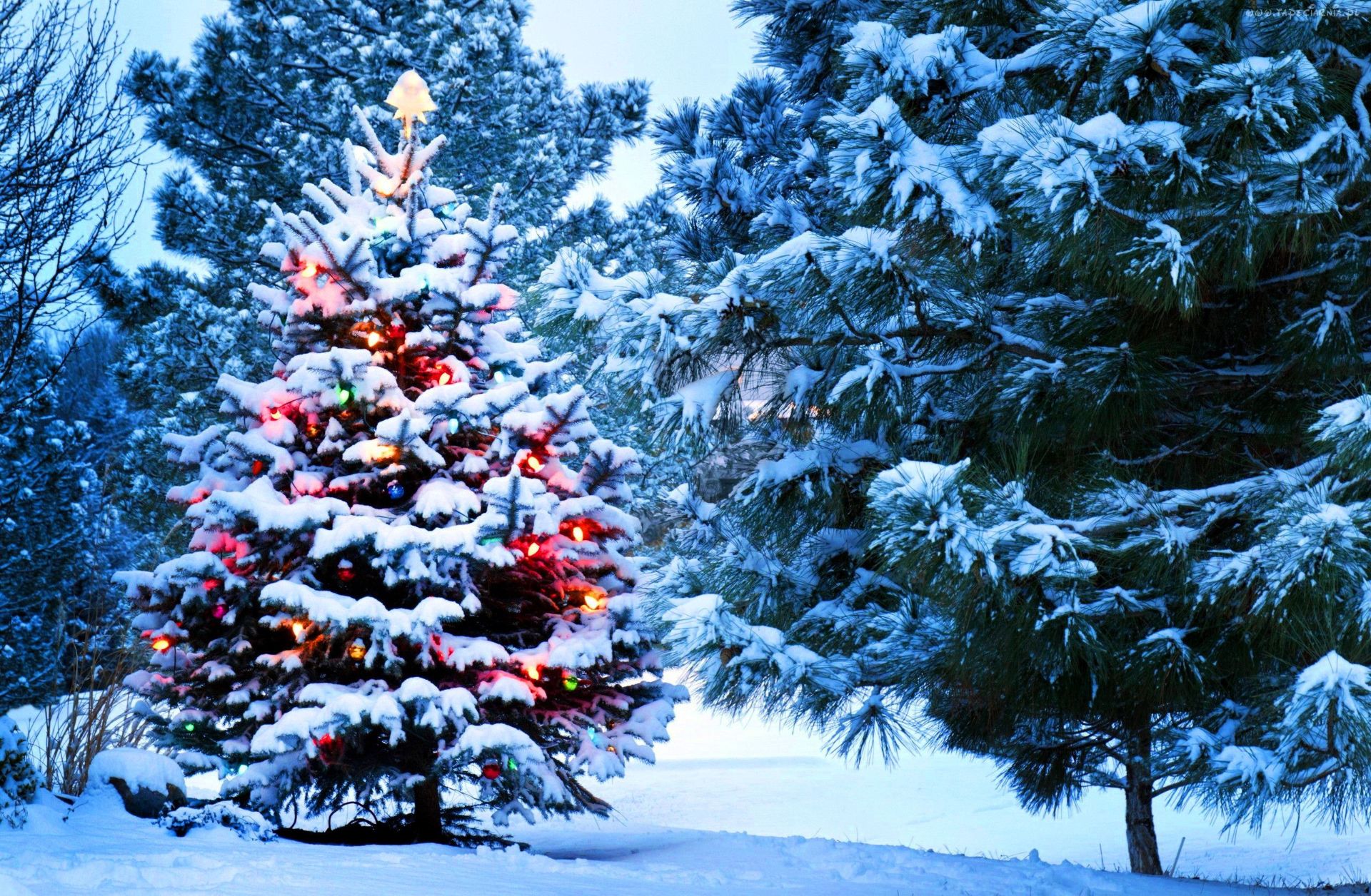 150 Christmas Images Photos And Pics AtulHost 150 Christmas Images Photos And Pics AtulHost